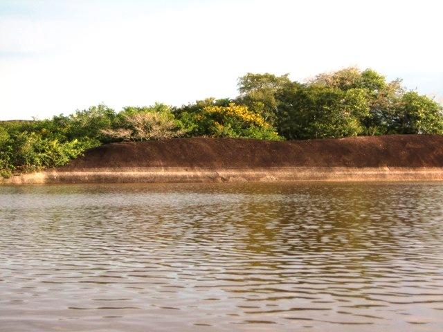 Río Bita, Vichada. El primer río protegido de Colombia gracias a que ...
