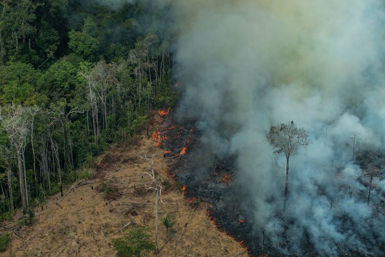 Deforestación, principal causa de incendios forestalesReporteros Asociados