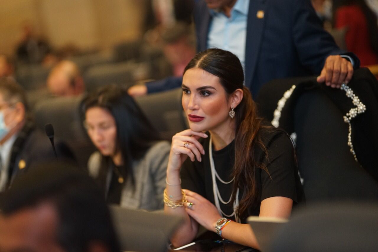 Vamos a dar el debate para defender la industria de los hidrocarburos y ...